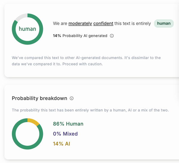 How to Understand Your AI Scan Results